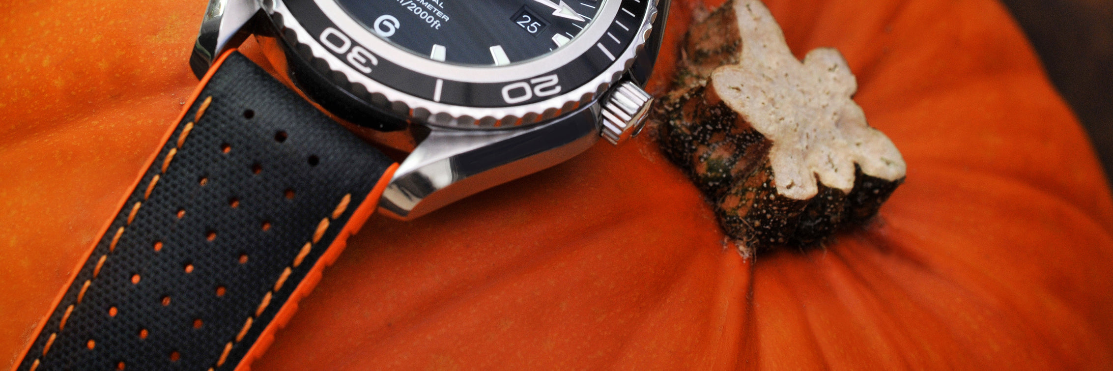 Waterproof & Water-resistant Watch Straps | WatchObsession – Watch ...