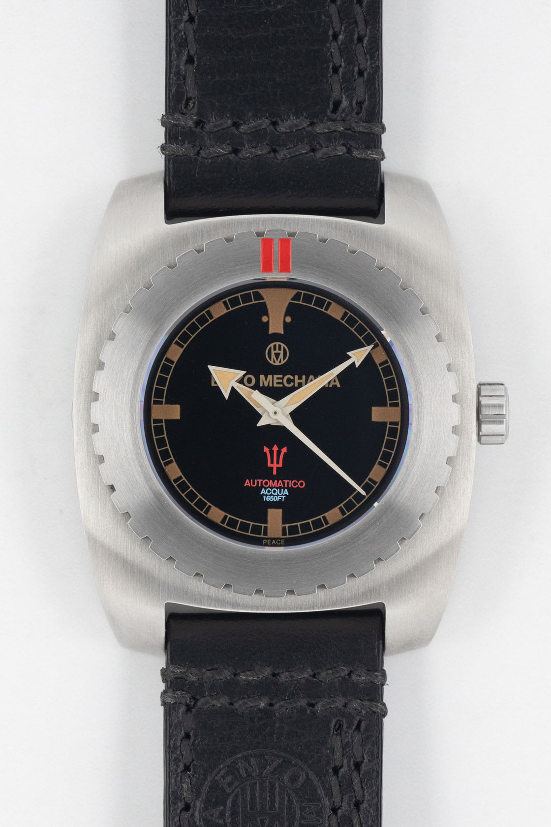 Enzo Mechana Acqua | Automatic | Watch Obsession